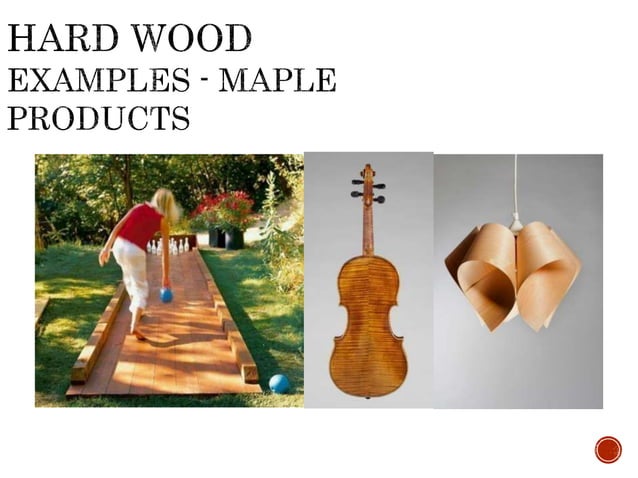 wood and wood products.pptx | Woodworking | Arts and Crafts