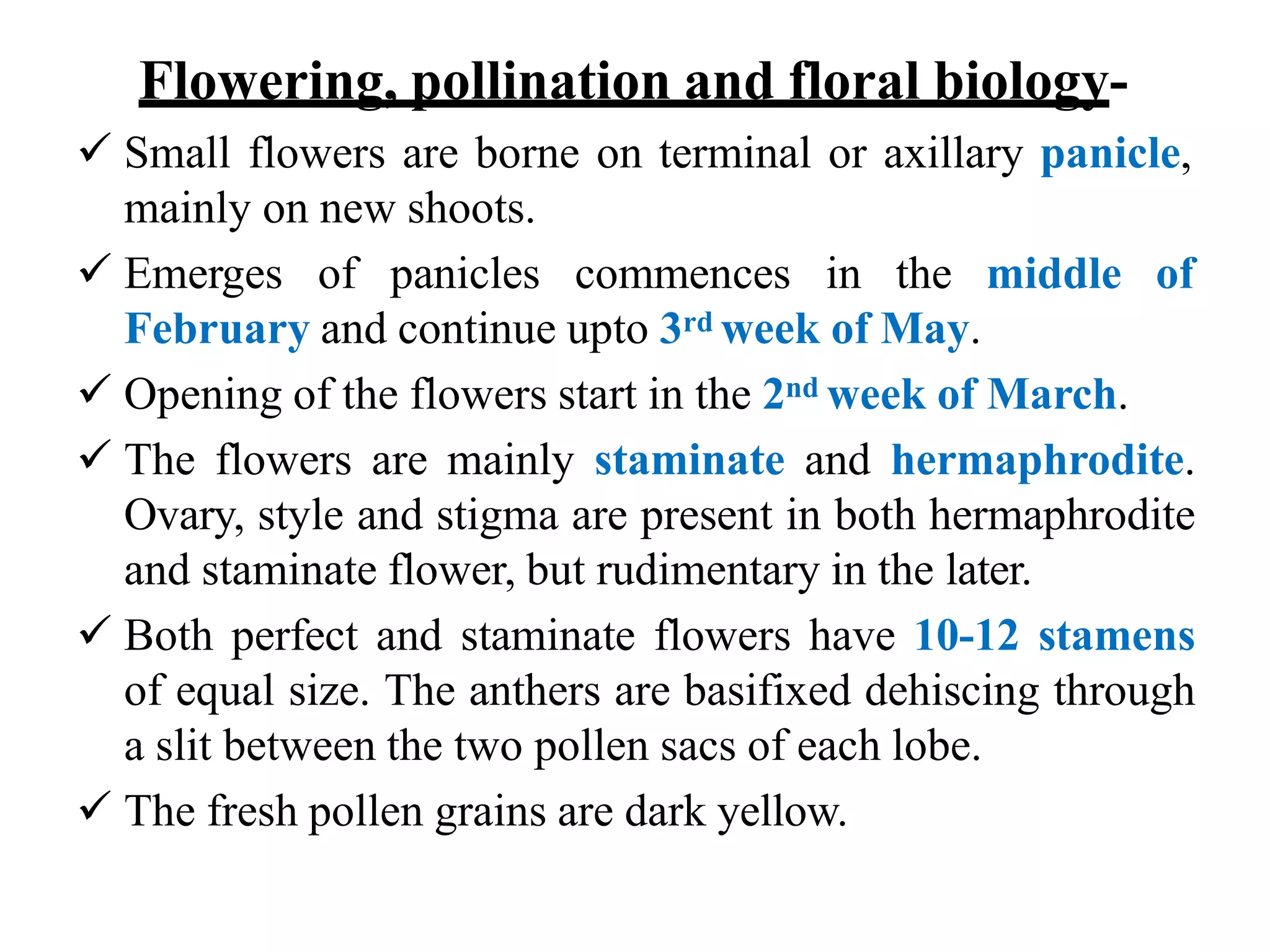 WOOD APPLE.pptx