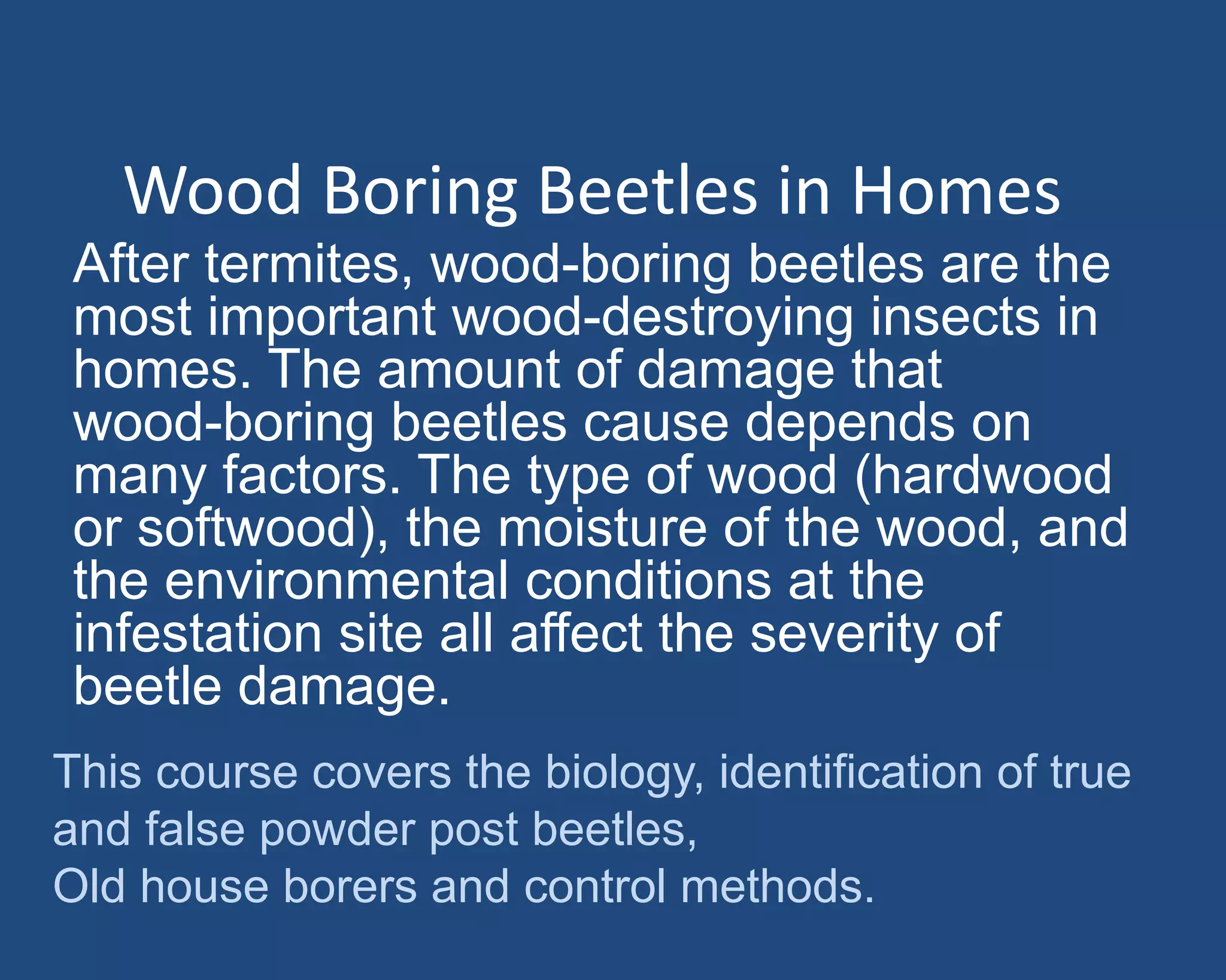 DPR Wood Boring Beetles in Homes.pptx.pdf