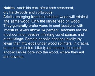 Wood Boring Beetles in Homes PDF.pdf