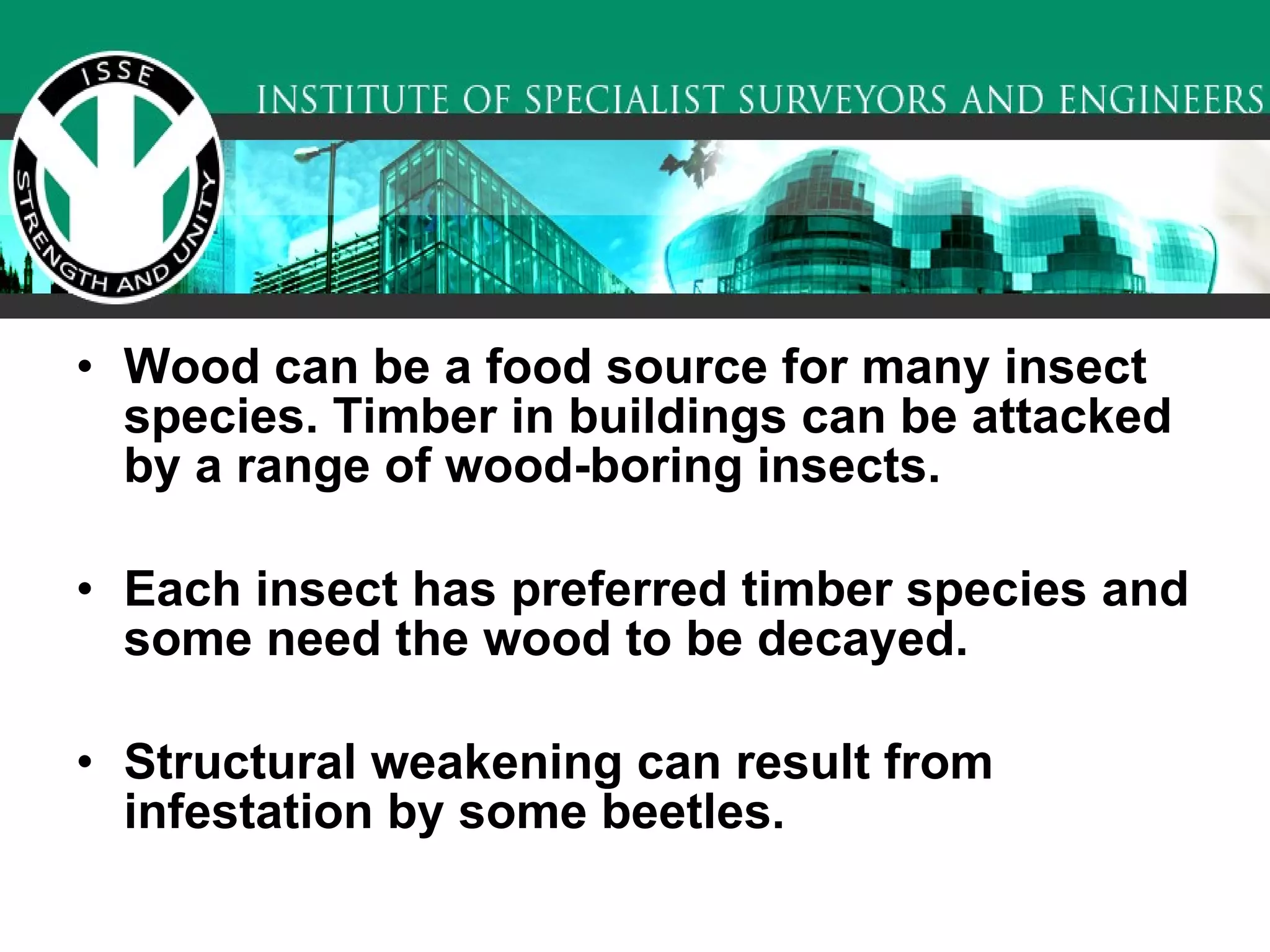 Wood boring insects | PPT