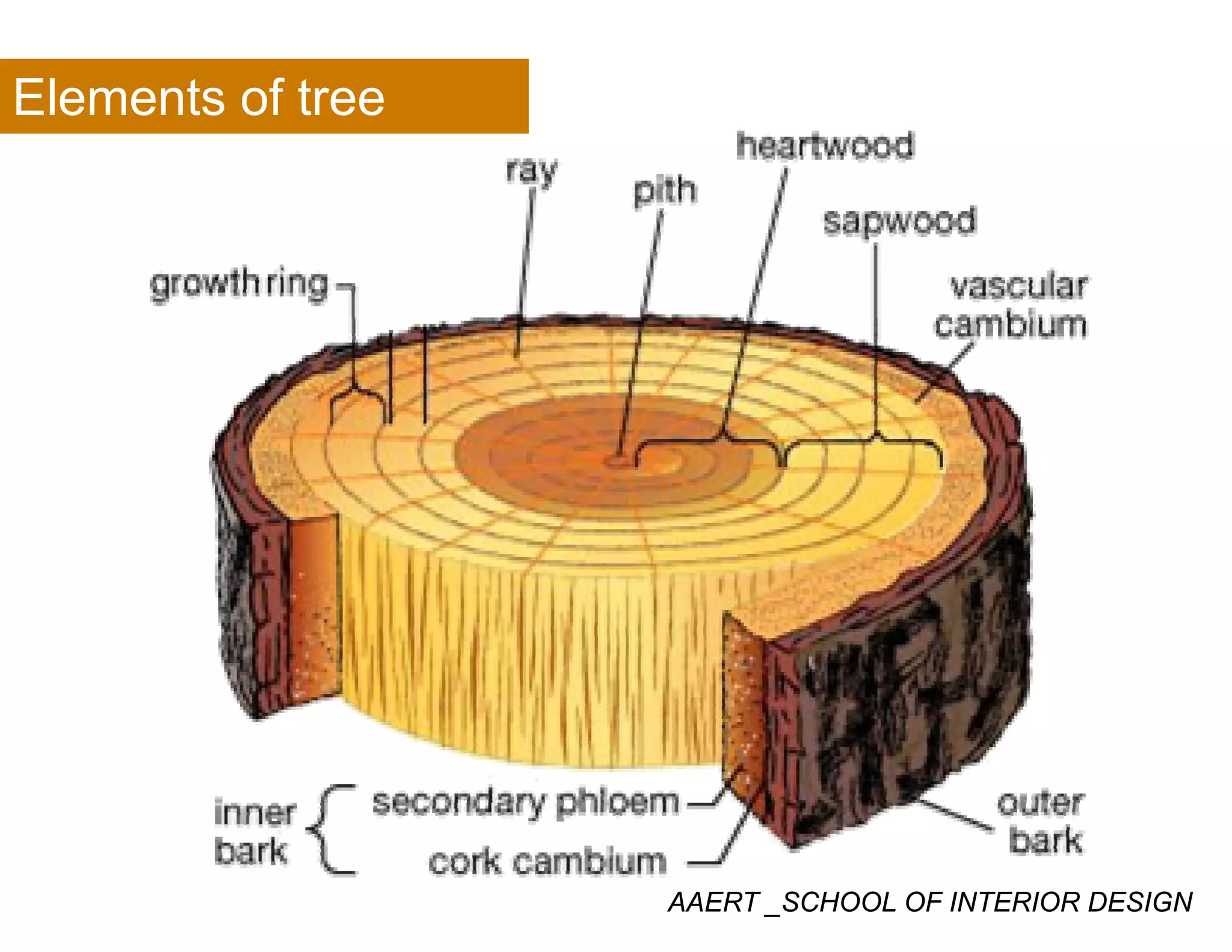 WOOD | PDF