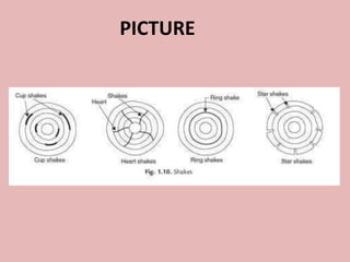 Wood defects-shakes and pitch pocket | PPTX