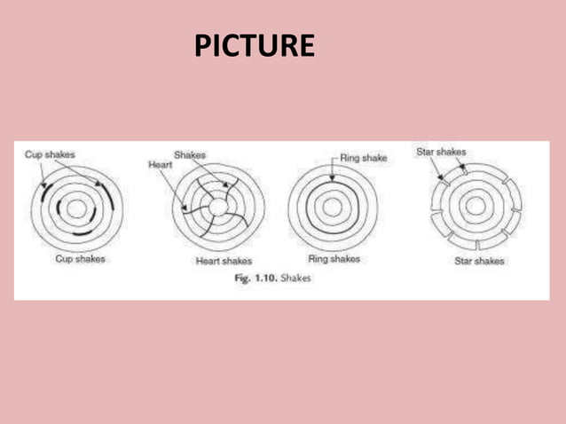 Wood defects-shakes and pitch pocket | PPTX