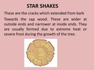 Wood defects-shakes and pitch pocket | PPTX