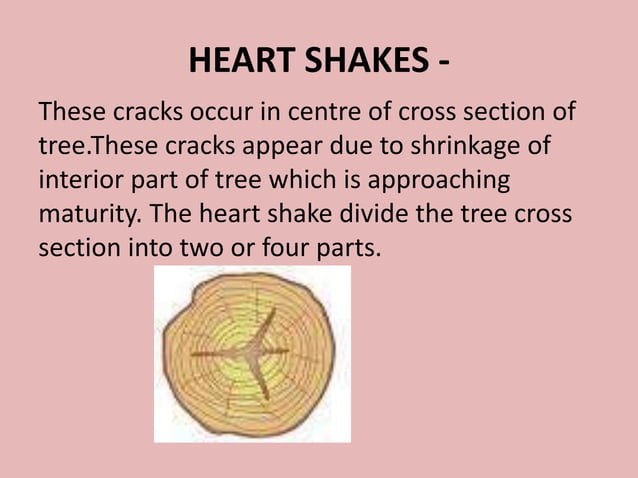Wood defects-shakes and pitch pocket | PPTX
