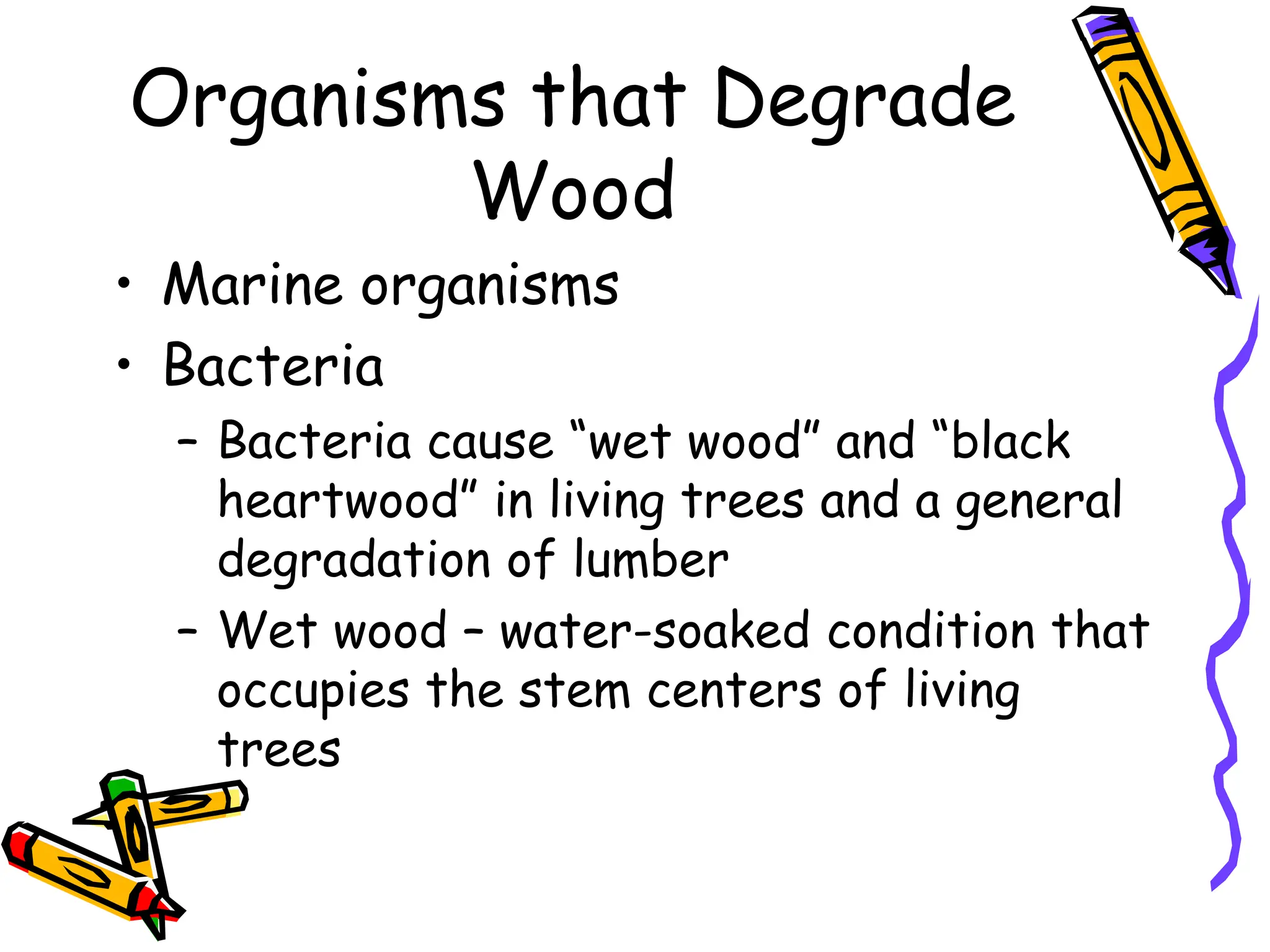 wood defects for civil engineering students | PPT