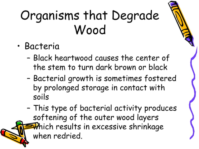 wood defects for civil engineering students | PPT