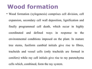 Wood development in relation to environmental factors.pptx