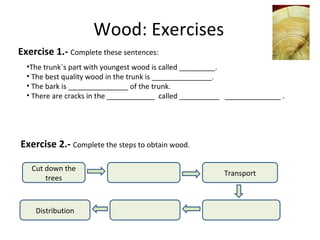 Wood Exercises | PPT