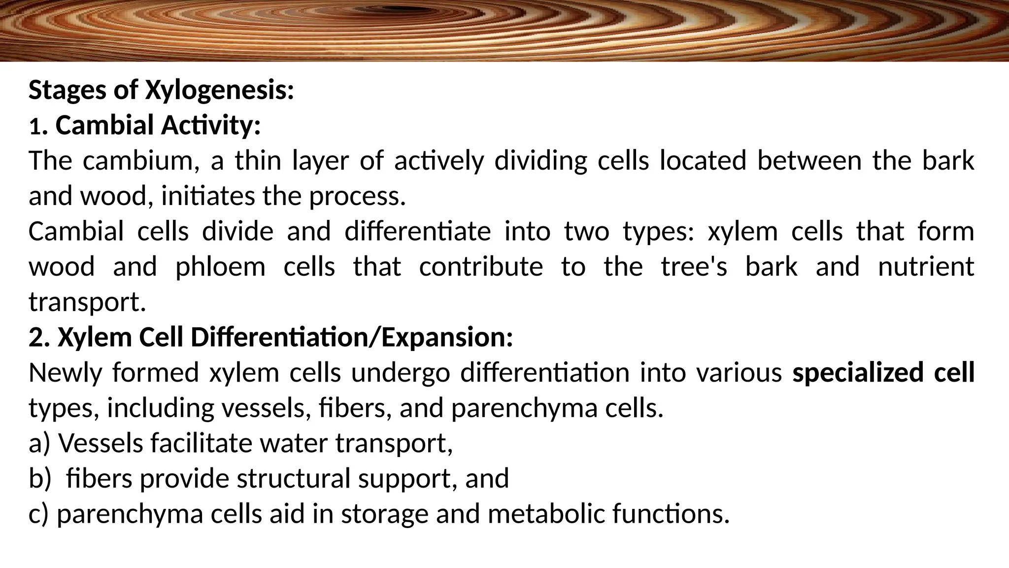 wood formation and its tyes detail .pptx