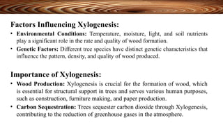 wood formation and its tyes detail .pptx