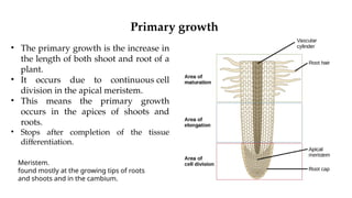 wood formation and its tyes detail .pptx