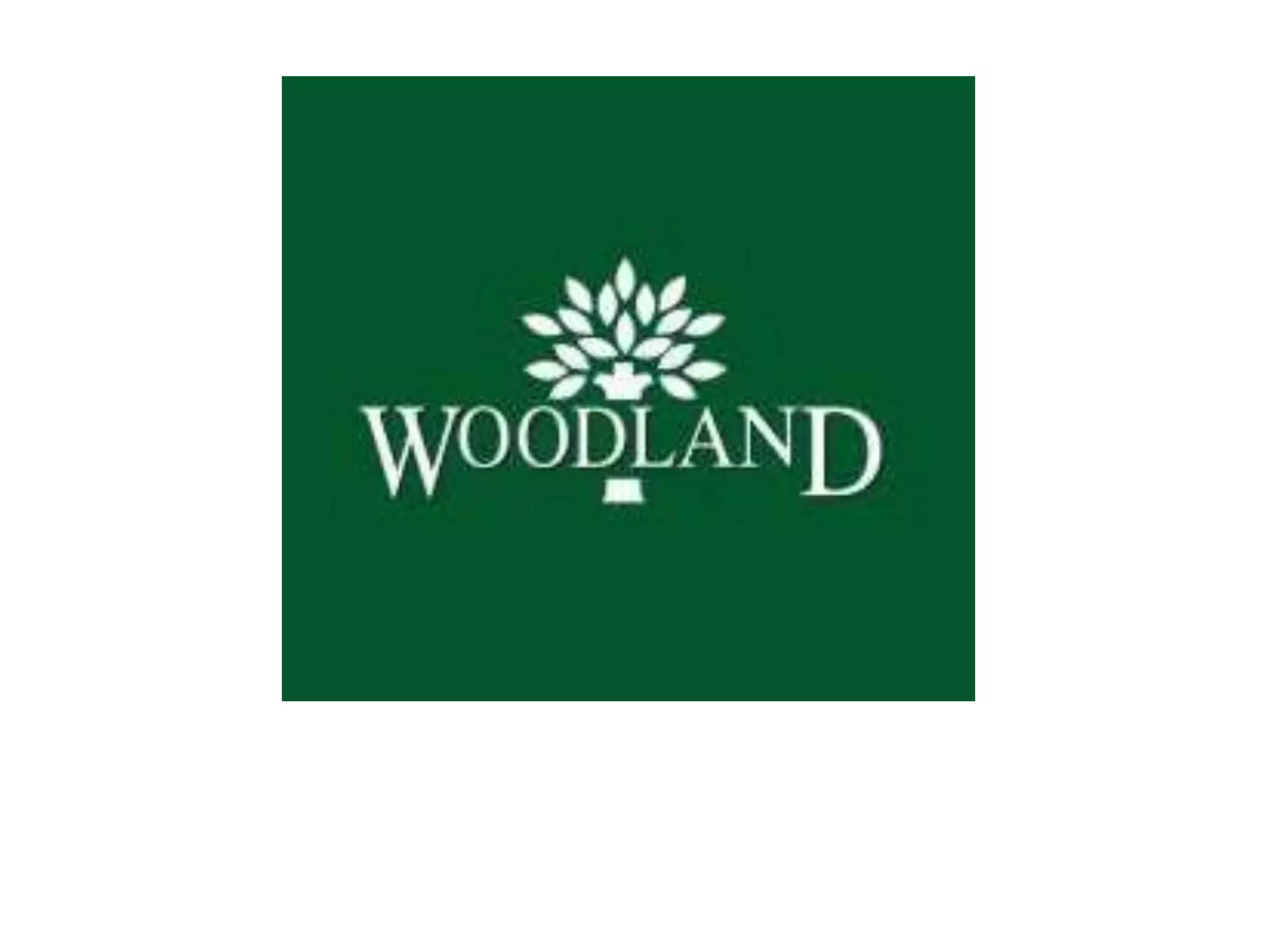 Wood land brand study | PPTX