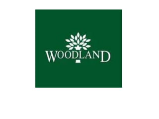 Wood land brand study | PPTX