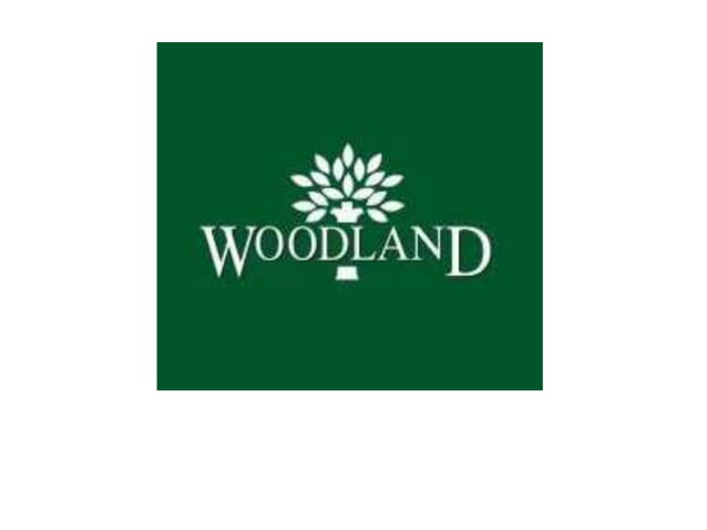 Wood land brand study | PPTX