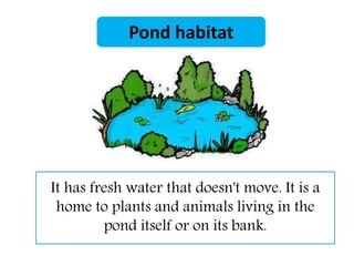 Habitats | PPT