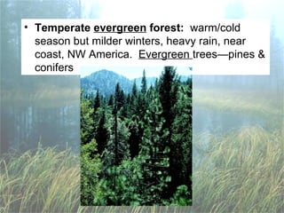 Woodland notes Notes on different types of forests, including niches ...