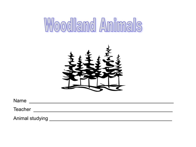 Woodland Animals | PPT