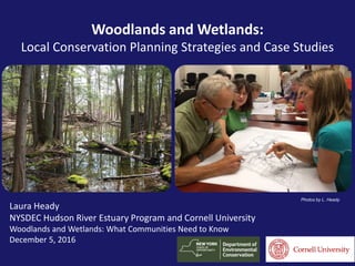 Woodlands and Wetlands: Local Conservation Planning Strategies and Case ...