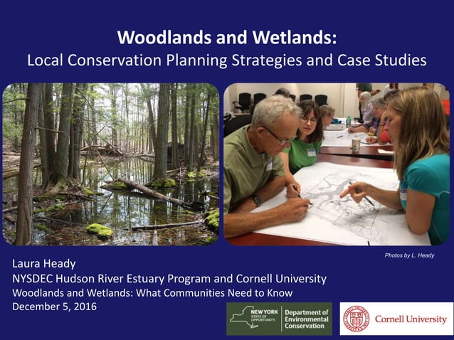 Woodlands and Wetlands: Local Conservation Planning Strategies and Case Studies | PPT