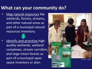 Woodlands and Wetlands: Local Conservation Planning Strategies and Case ...