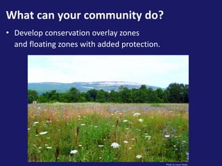 Woodlands and Wetlands: Local Conservation Planning Strategies and Case ...