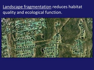 Woodlands and Wetlands: Local Conservation Planning Strategies and Case ...