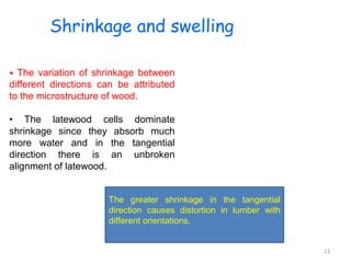 Wood (Microstructure) | PPT