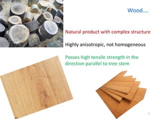 Wood (Microstructure) | PPT