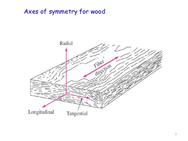 Wood (Microstructure)