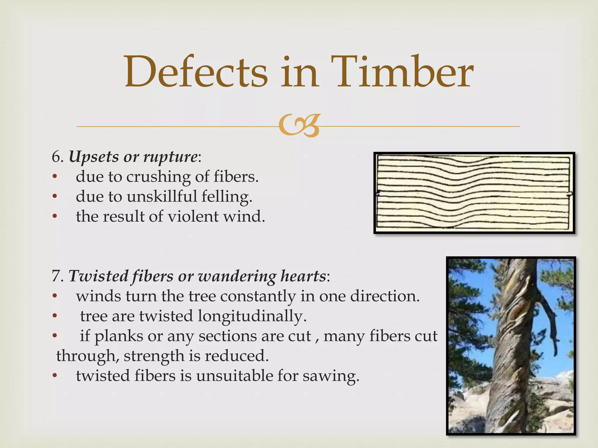 Wood material and timber | PPTX
