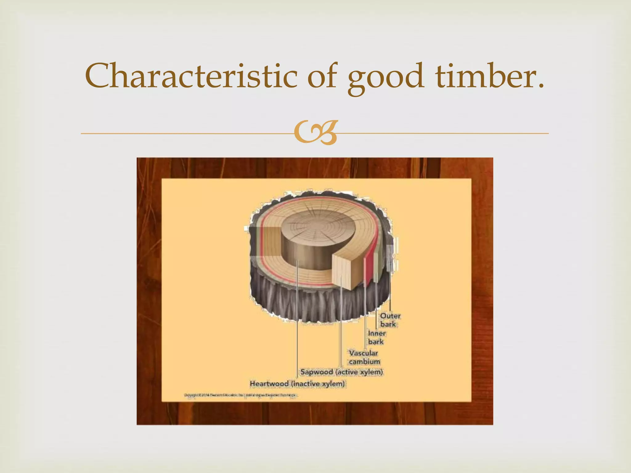 Wood material and timber | PPTX