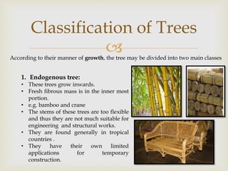 Wood material and timber | PPTX