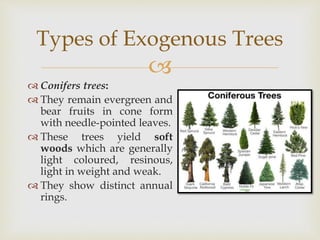 Wood material and timber | PPTX