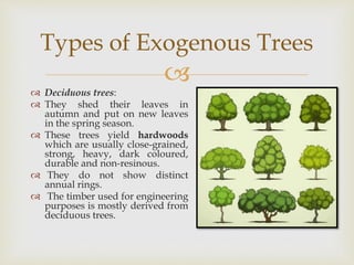 Wood material and timber | PPTX