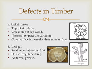 Wood material and timber | PPTX
