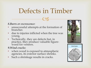 Wood material and timber | PPTX