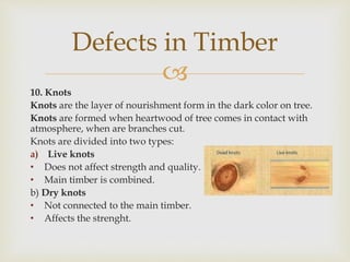 Wood material and timber | PPTX