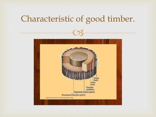 Wood material and timber | PPTX