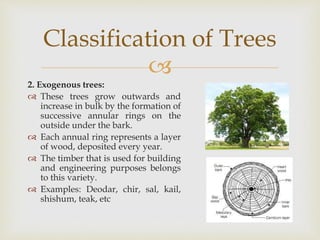 Wood material and timber | PPT