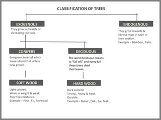 Wood paint glass material presentation | PPTX