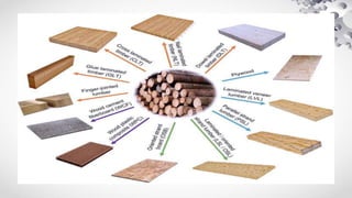 WOOD PRODUCTS AND PROCESSING IN ABE.pptx