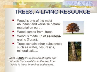 Woods | PPT