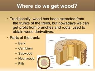 Woods | PPT