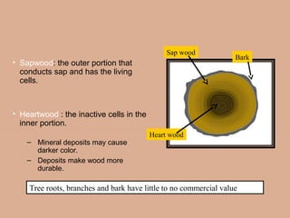 WOOD USED IN ARCHITECTURE | PPT