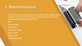 Wood structure as a Building material | PPTX