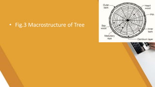 Wood structure as a Building material | PPTX