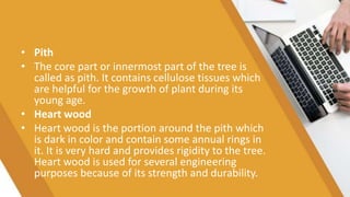 Wood structure as a Building material | PPTX