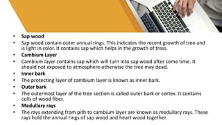 Wood structure as a Building material | PPTX